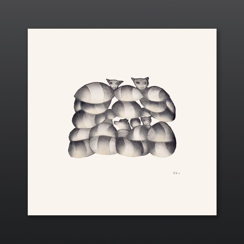 Cats and DogsKakulu Saggiaktok320 - Steinbrueck Native Gallery