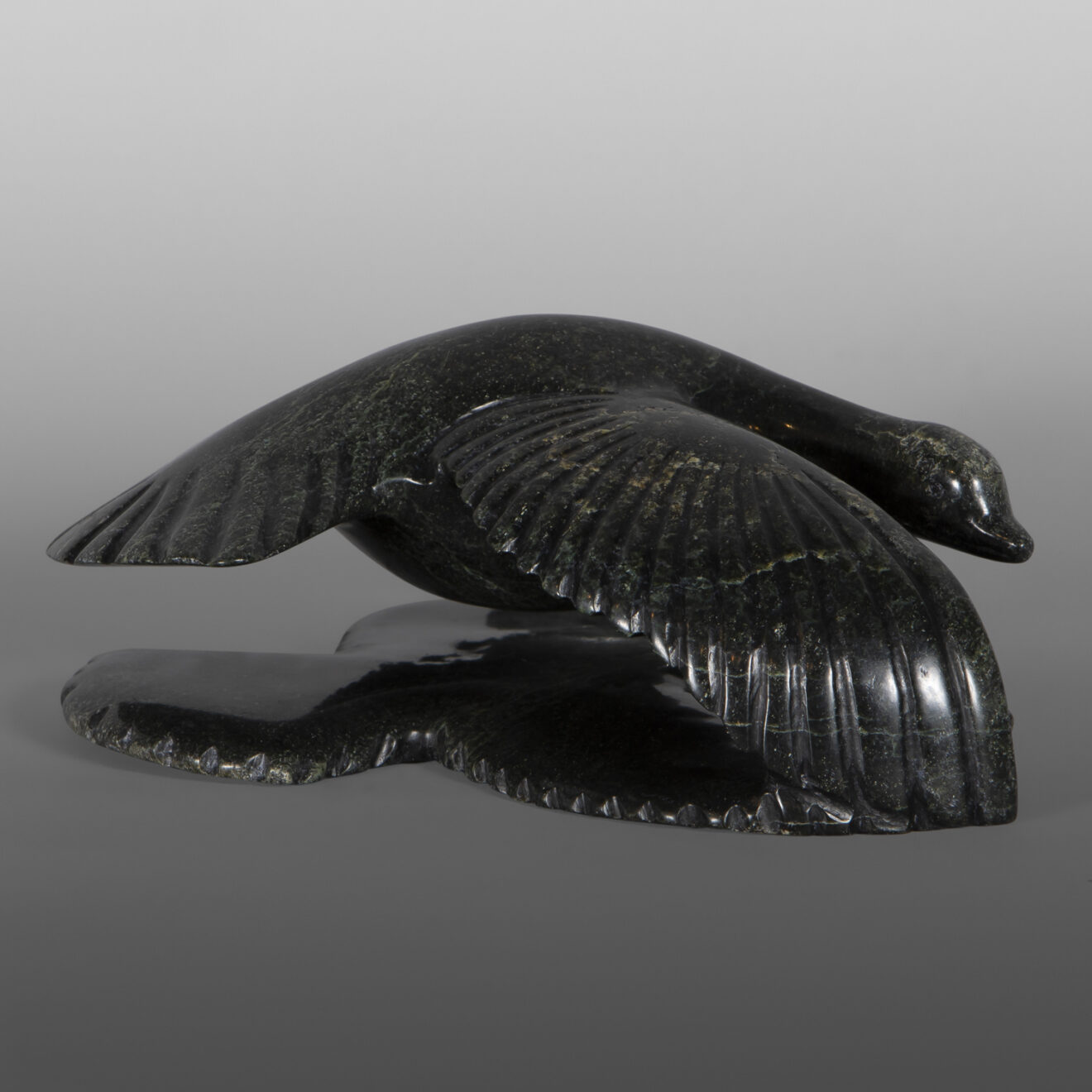 Steinbrueck Native Gallery - Fine Art of the Northwest Coast - Seattle, WA